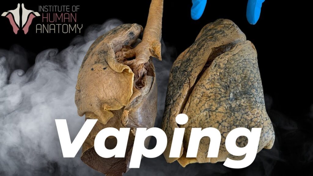 What Vaping Does to the Body | Top Cannabis Products, News and Info