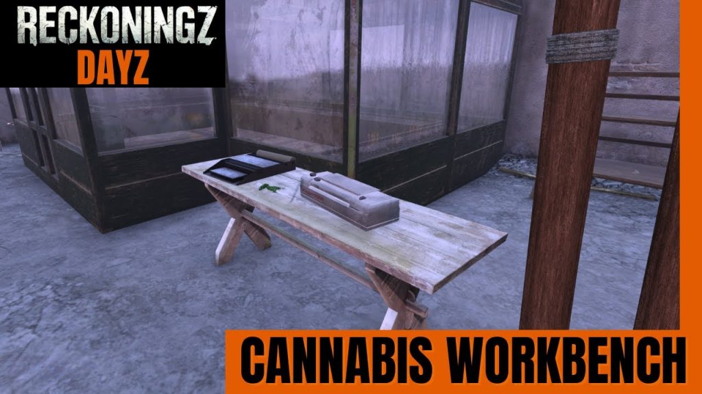 Grow CANNABIS in DayZ with EASY Workbench Guide! | Top Cannabis ...
