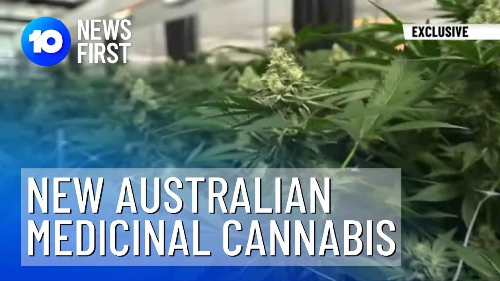 New Australian Medicinal Cannabis Company | 10 News First | Top ...